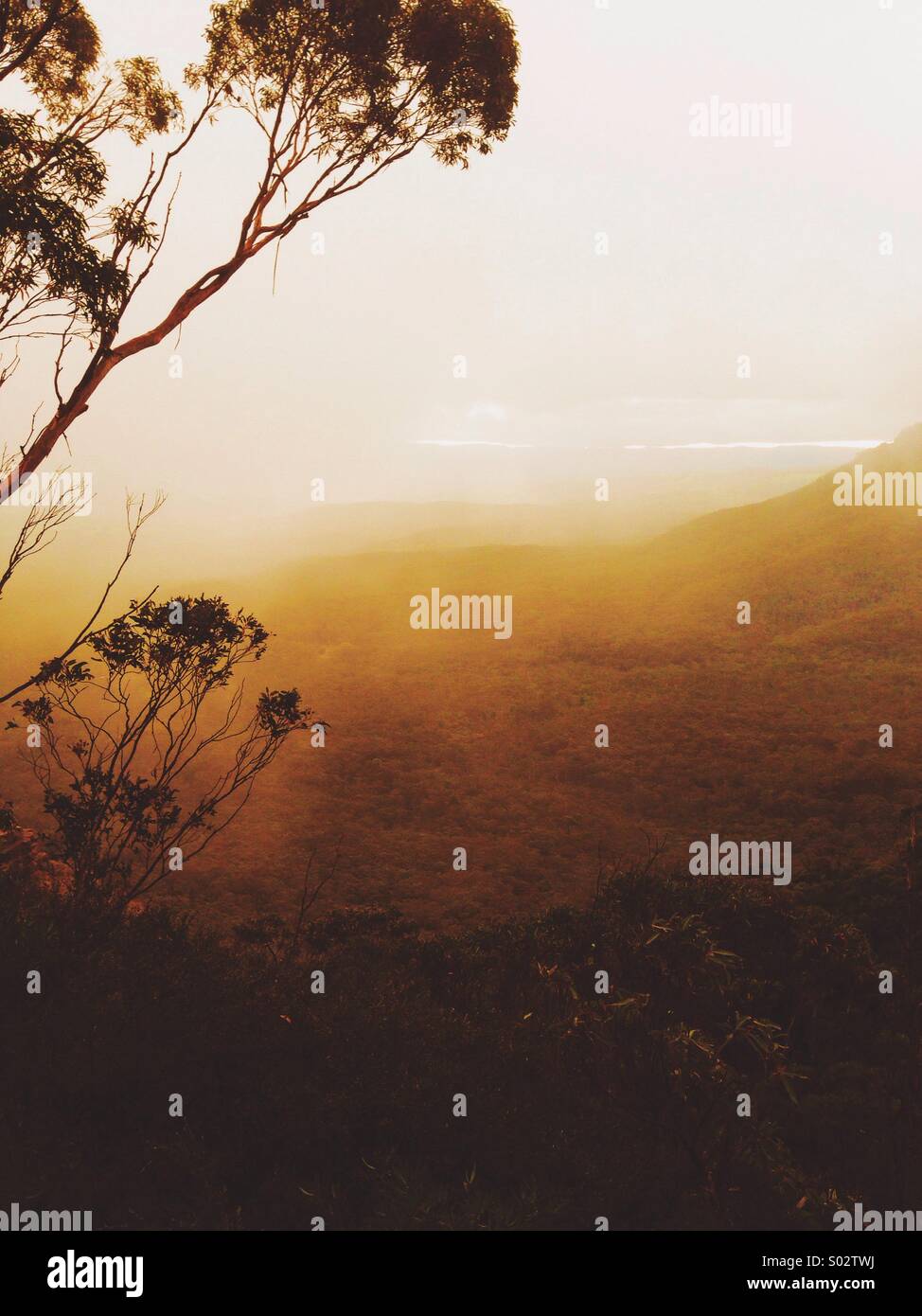 Australia Blue Mountains Mist Not Fog High Resolution Stock Photography ...