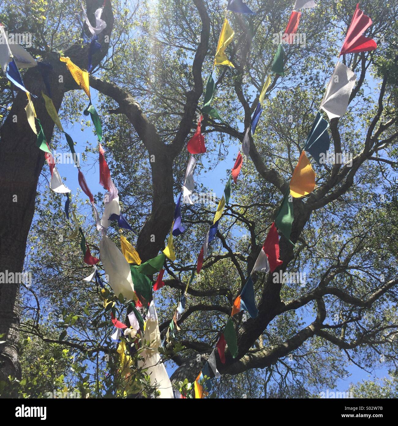 Colorful Tibetan prayer flag tree Stock Photo - Alamy