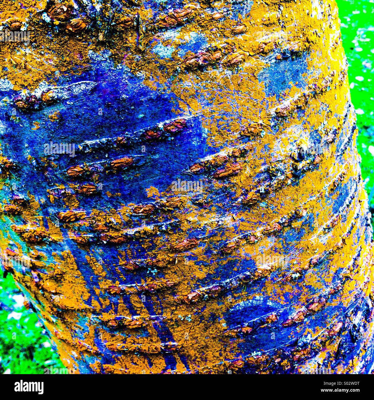Coloured Tree Trunk High Resolution Stock Photography and Images - Alamy