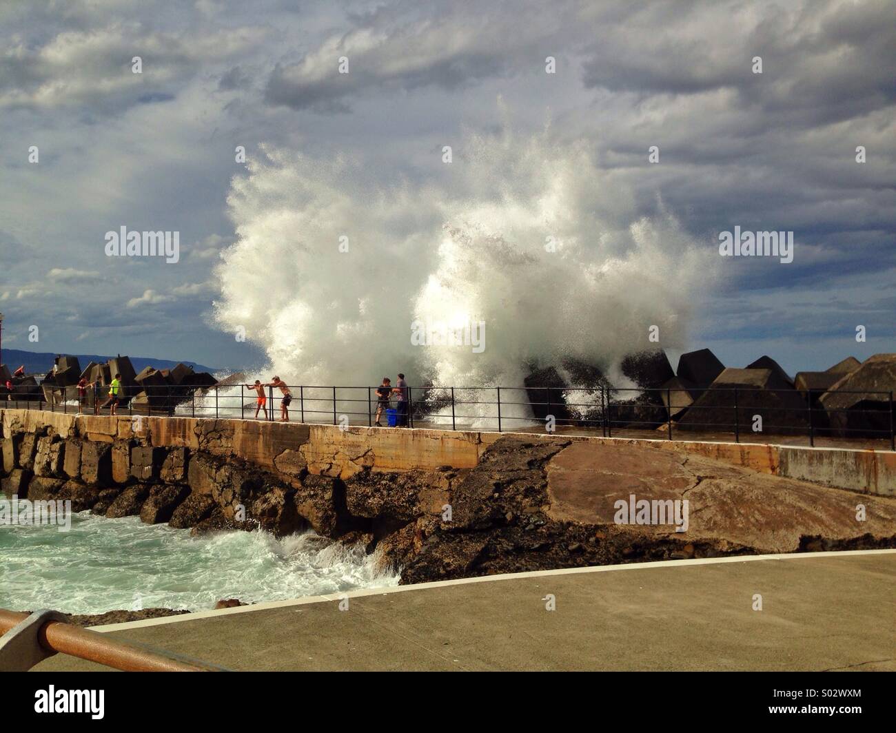 Rogue Wave Daytona Beach 1992