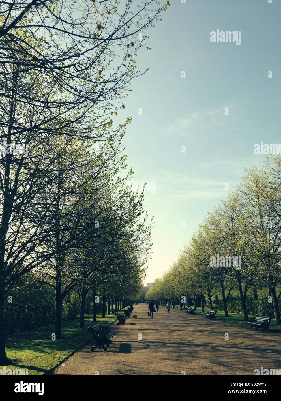 Walkway in Park Stock Photo - Alamy