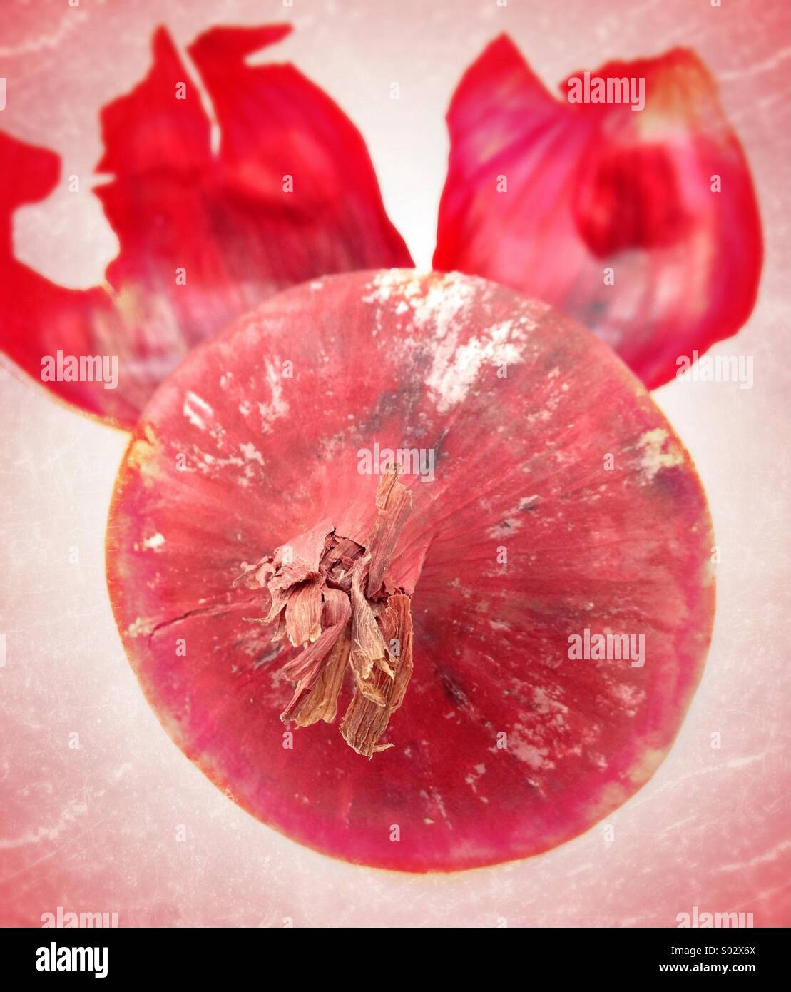 Red onion and onion skin Stock Photo - Alamy