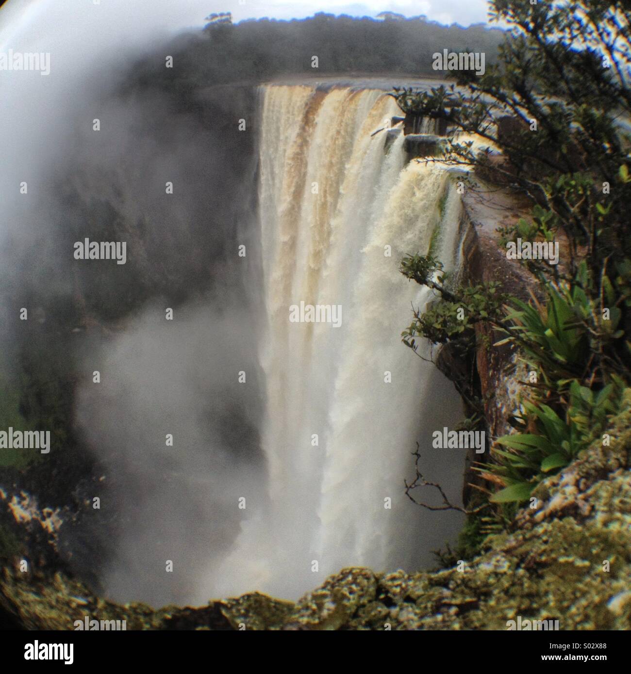Kaieteur Falls, Kaieteur National Park, Guyana Stock Photo - Alamy