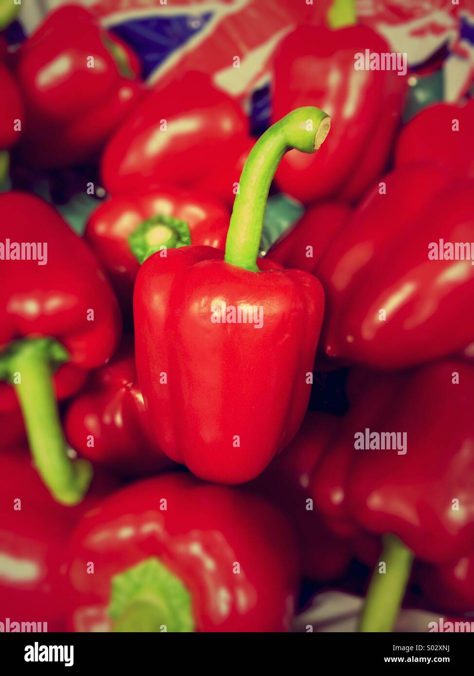 Green pepper stalk hi-res stock photography and images - Alamy