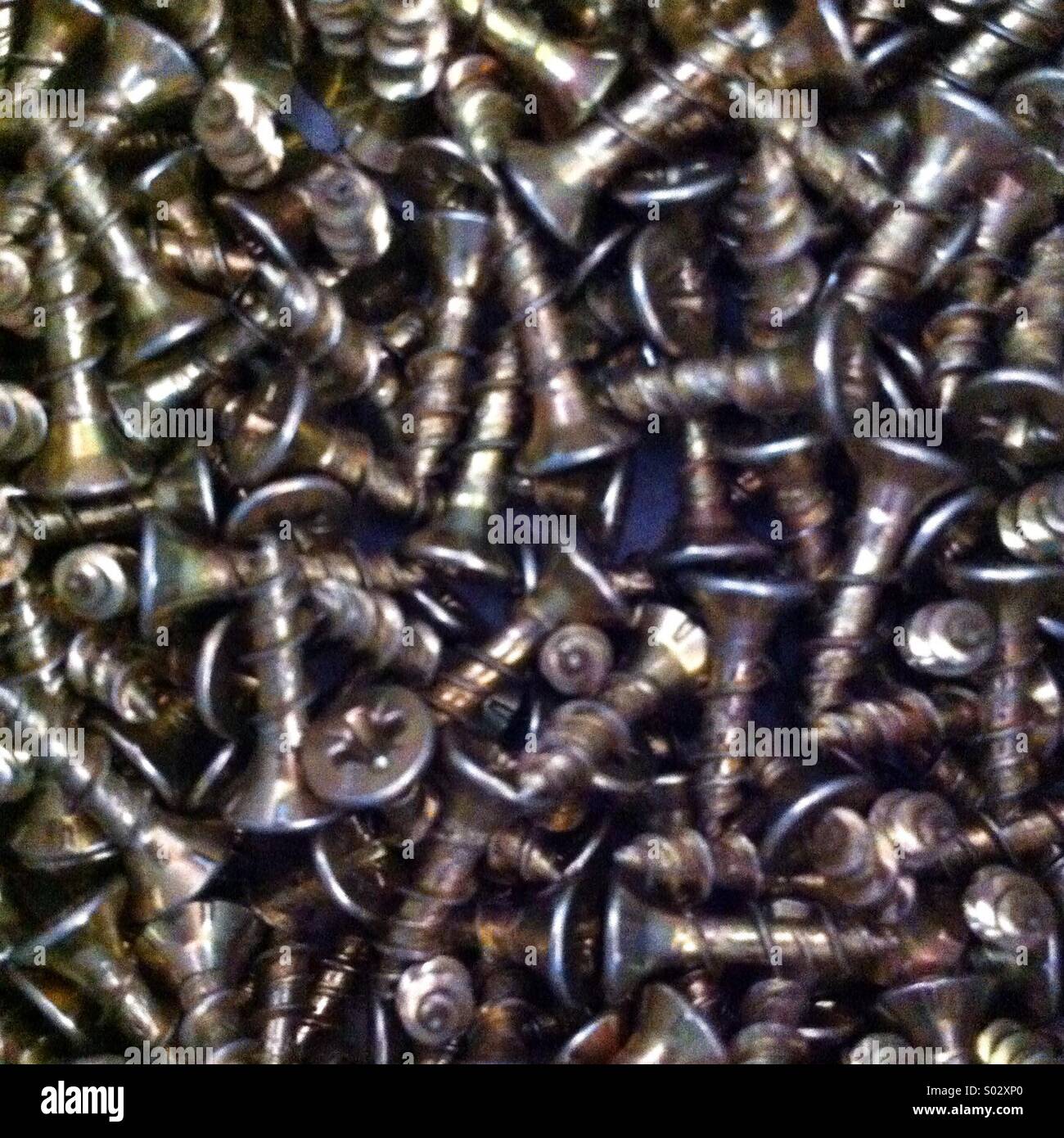 Small gold general purpose screws Stock Photo - Alamy