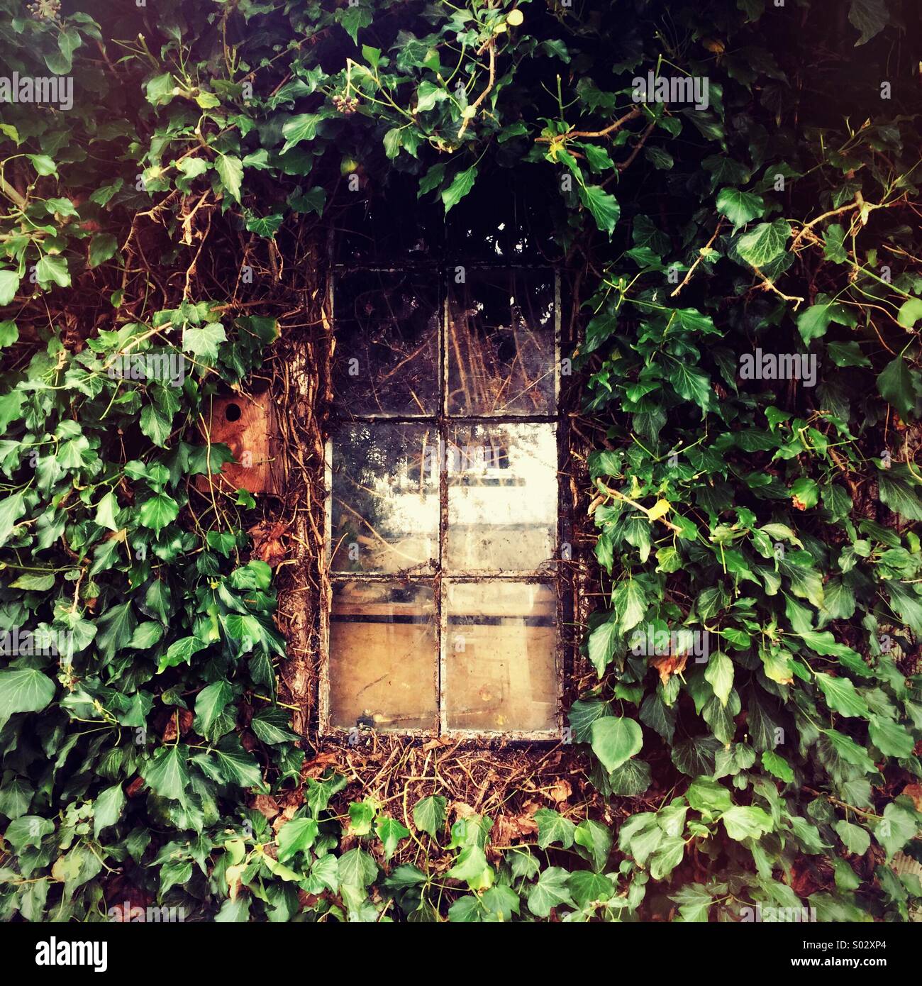Old shed window hi-res stock photography and images - Alamy