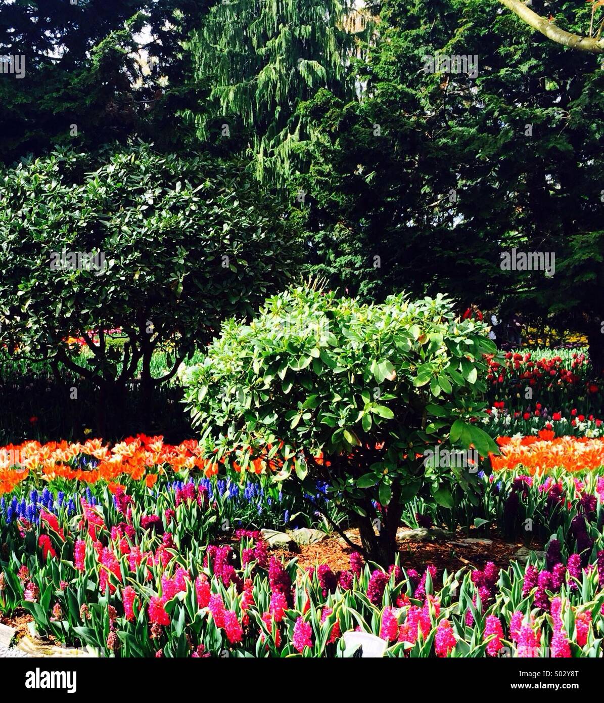 Gardens in bloom Stock Photo - Alamy