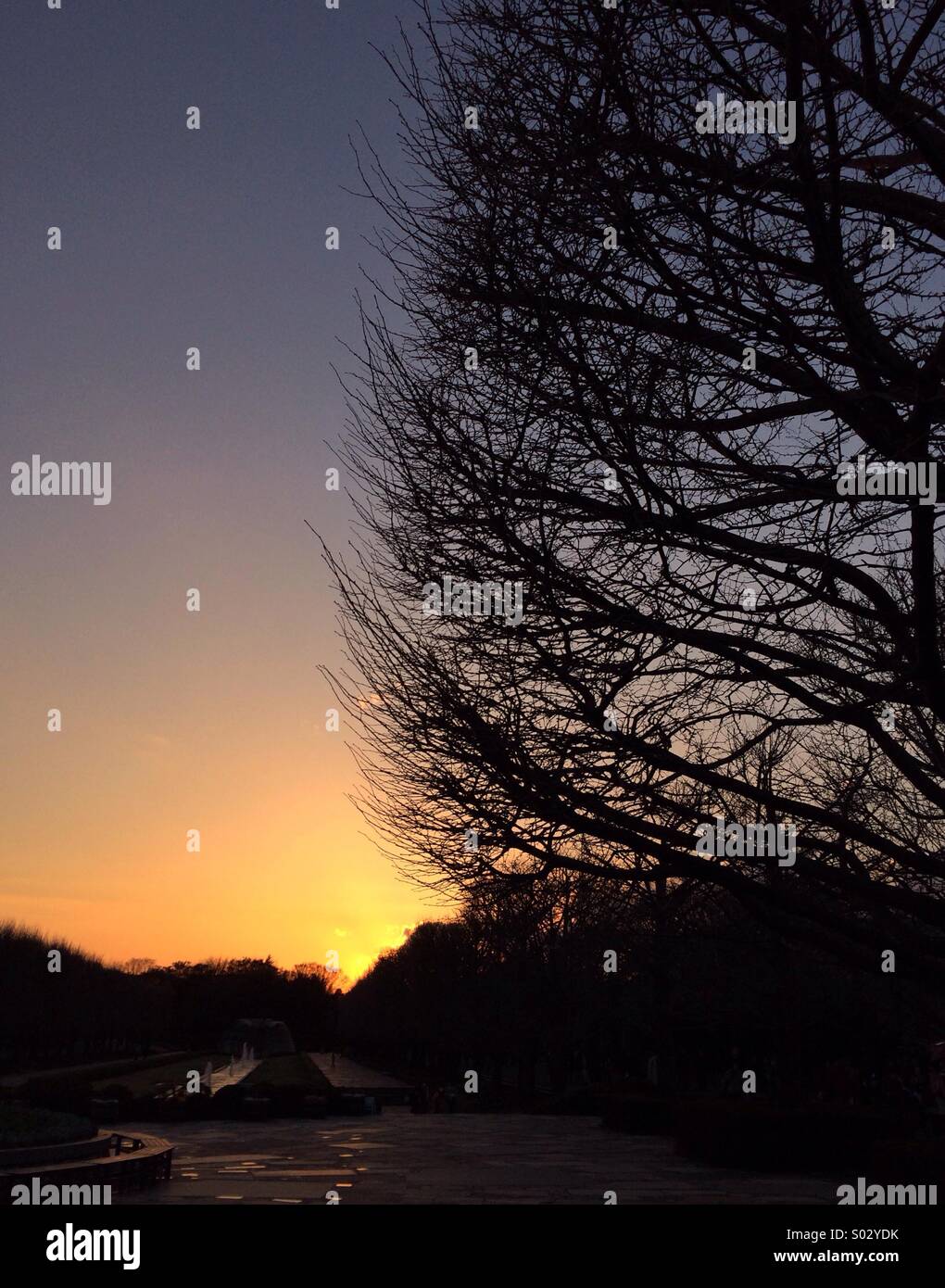 Japan sunrise dawn hi-res stock photography and images - Alamy