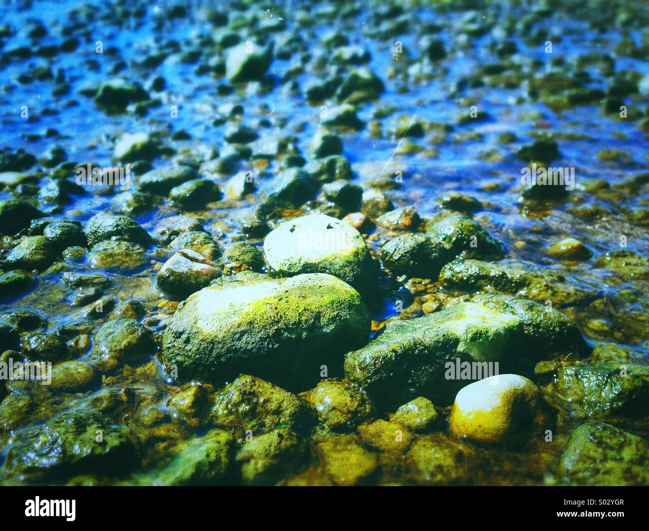 Water floating through stones in the shoal of the river Stock Photo - Alamy