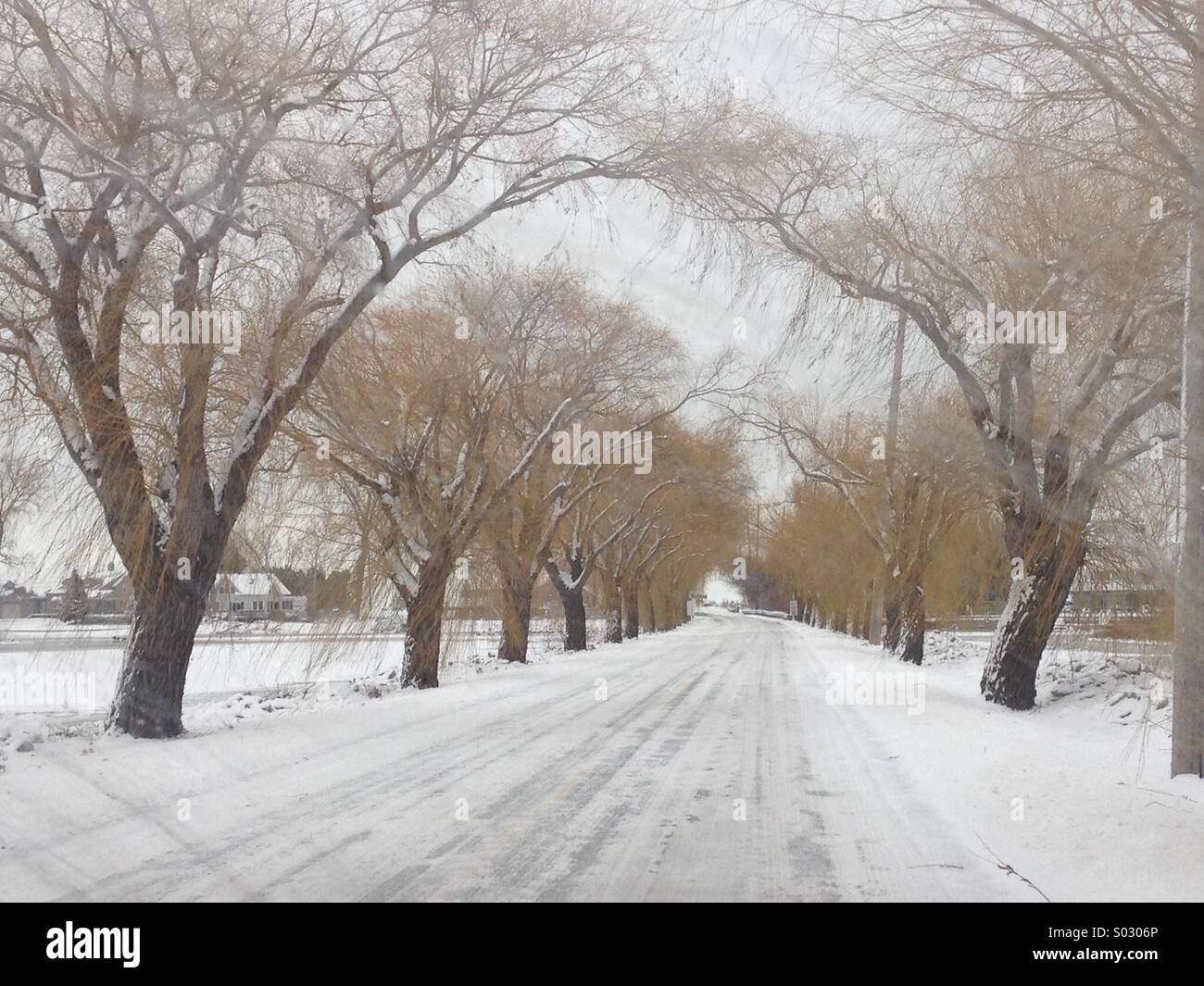 the road less travelled Stock Photo - Alamy