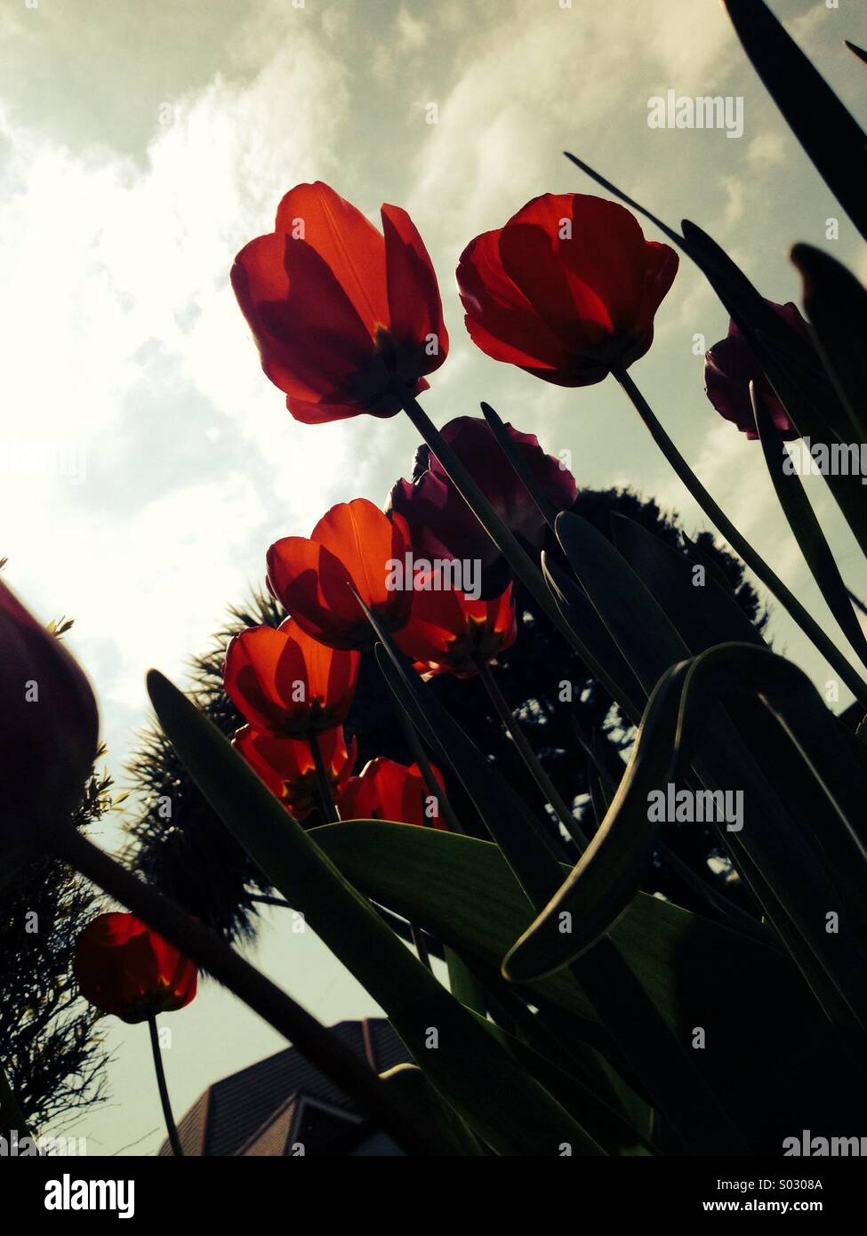 Spring weather hi-res stock photography and images - Alamy