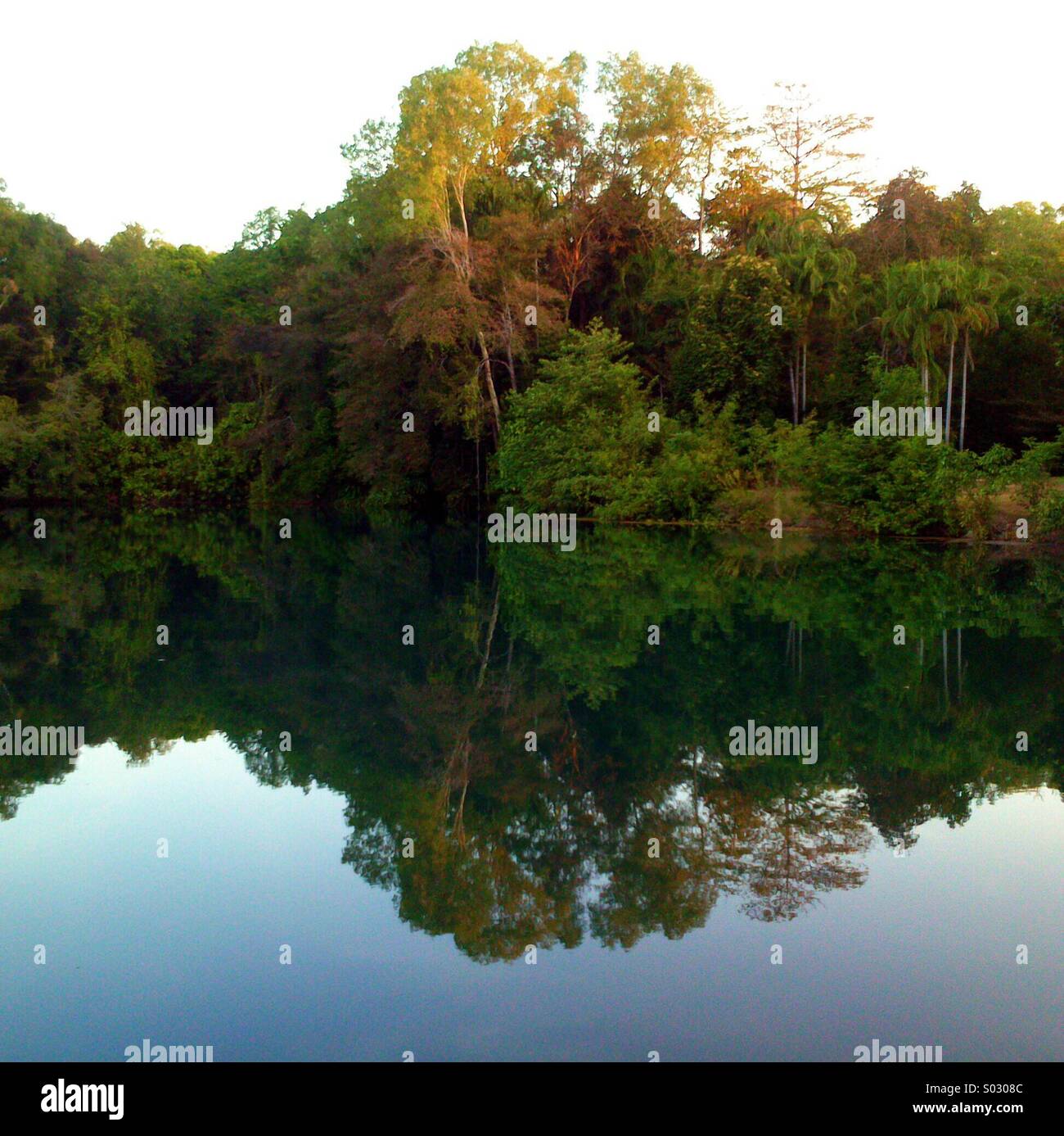 Howard Spring, Northern Territory, Australia Stock Photo - Alamy