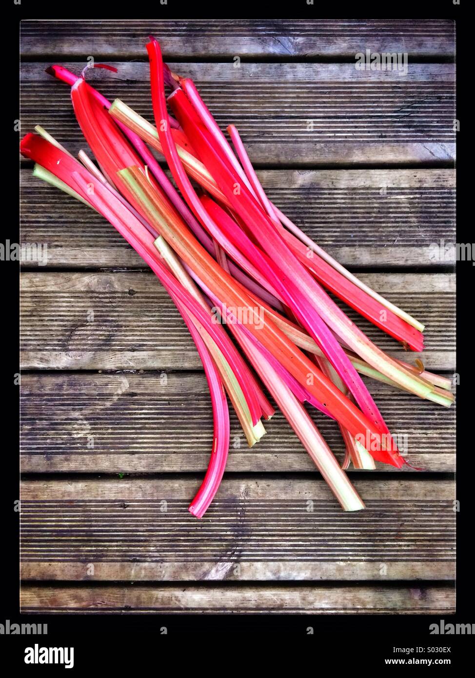 Rhubarb hi-res stock photography and images - Alamy