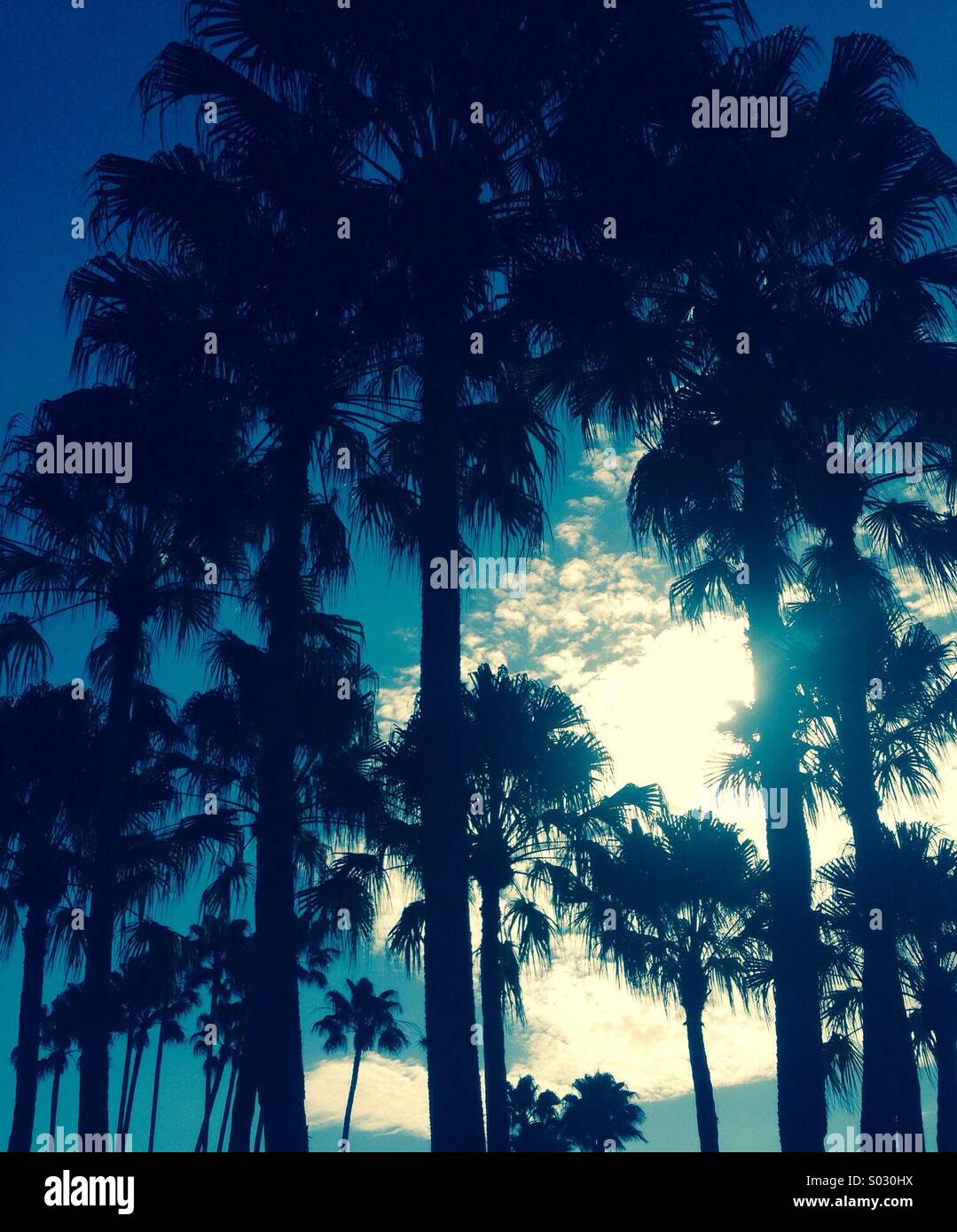 Florida silhouette hi-res stock photography and images - Alamy