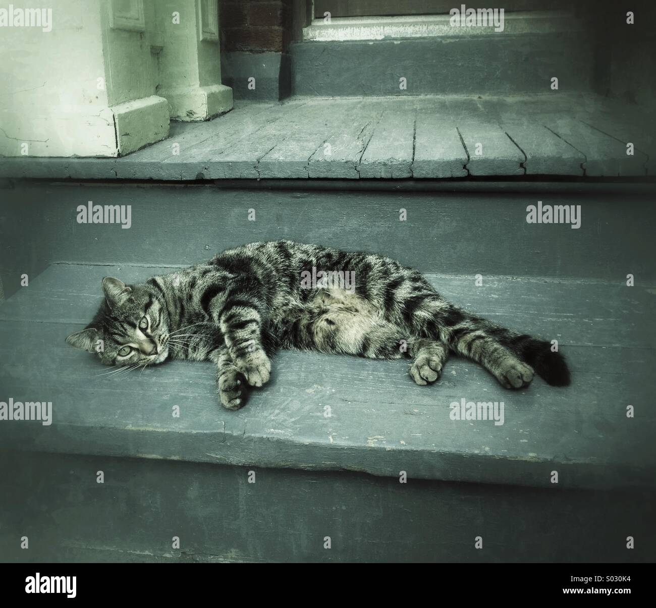 Lying on porsche hi-res stock photography and images - Alamy