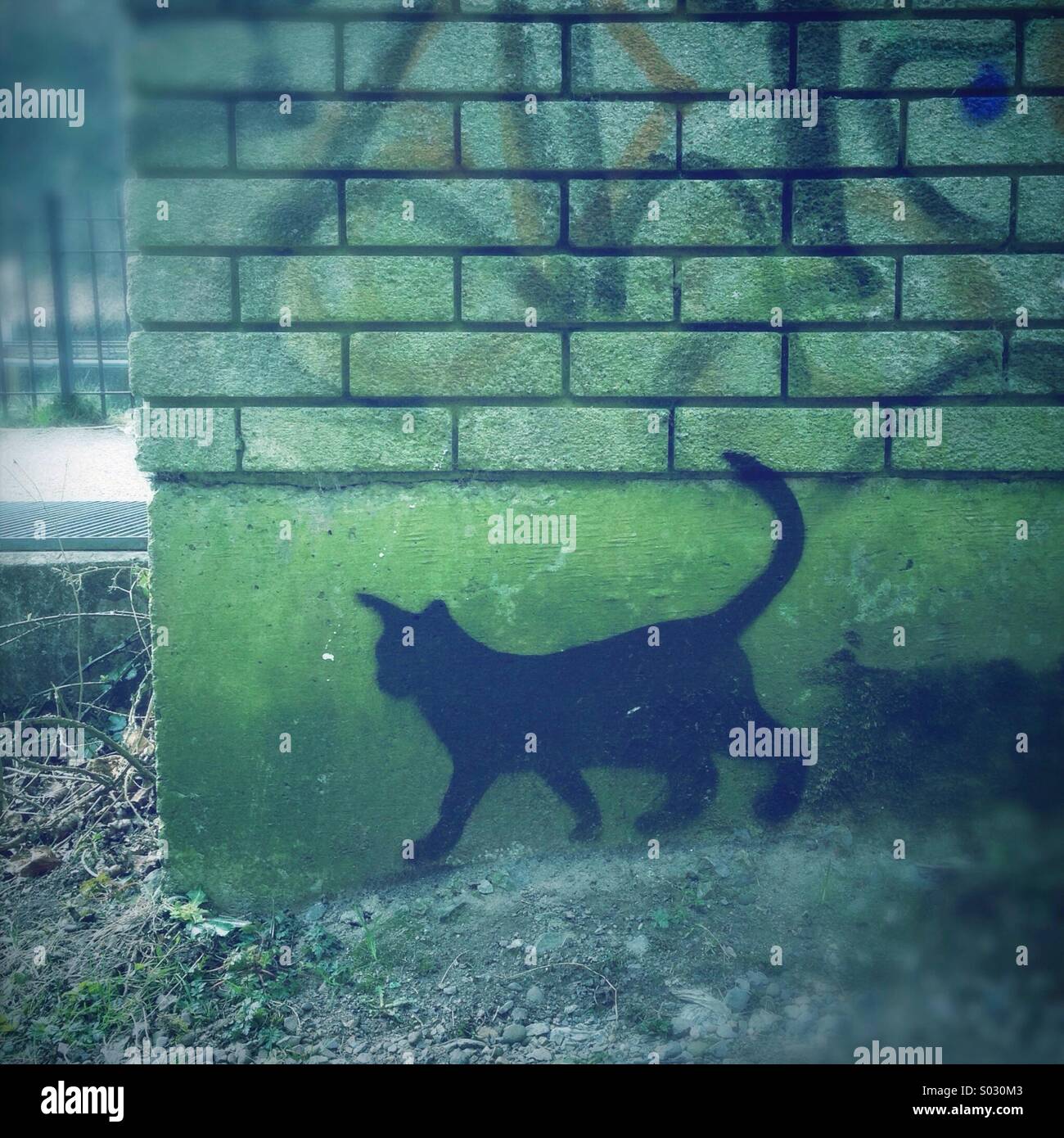 Graffiti cat hi-res stock photography and images - Alamy