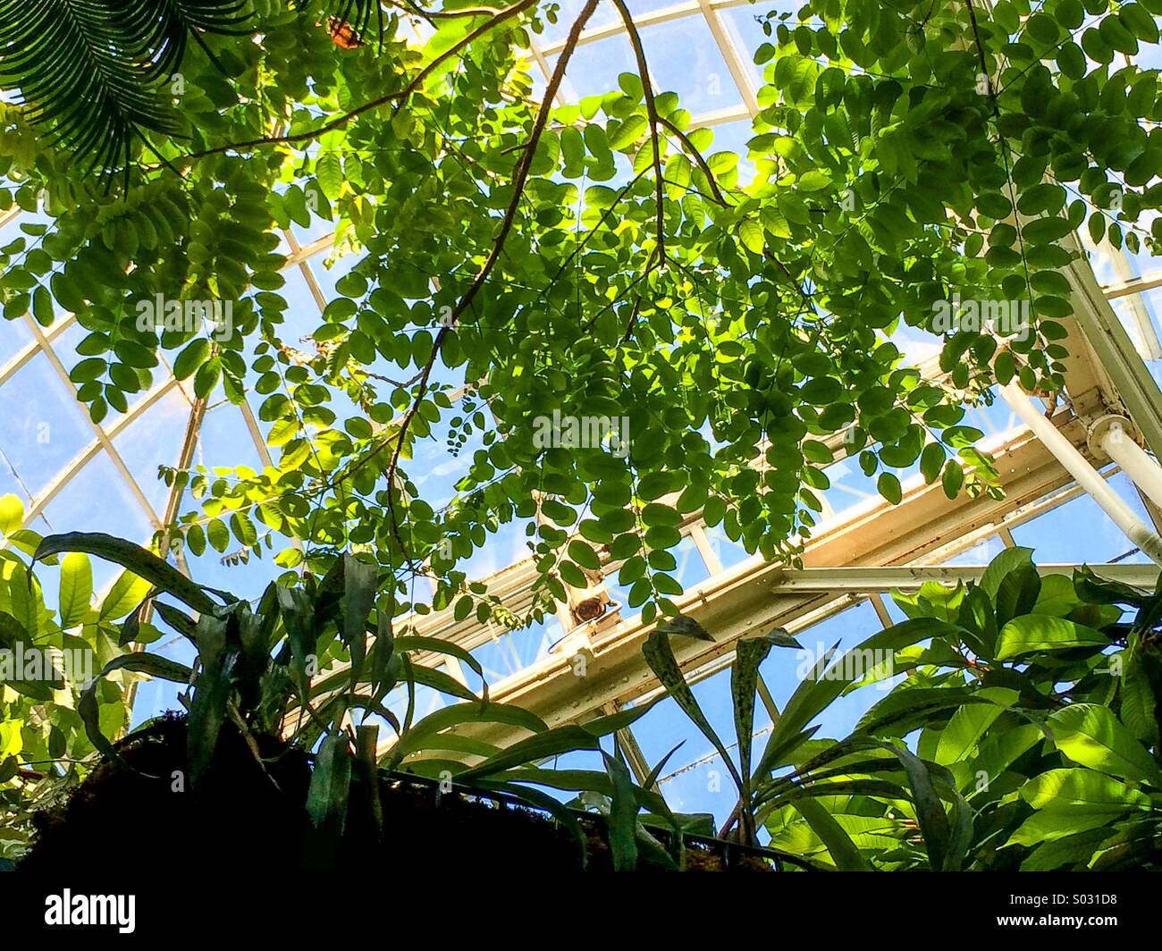 Atrium Plants High Resolution Stock Photography and Images - Alamy