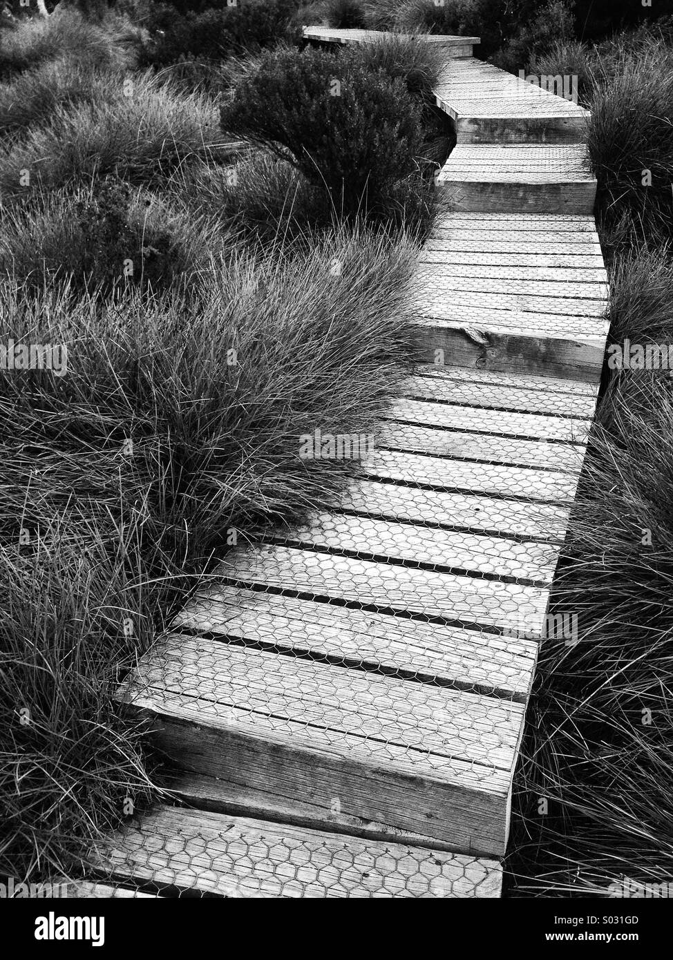 Tussocks Black and White Stock Photos & Images - Alamy