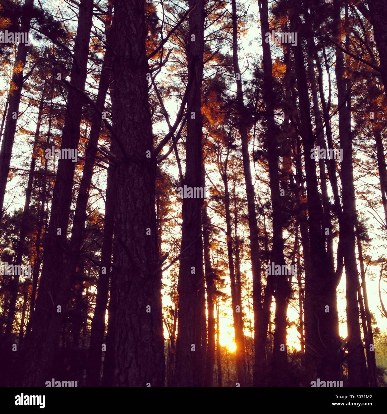 Daylesford australia hi-res stock photography and images - Alamy