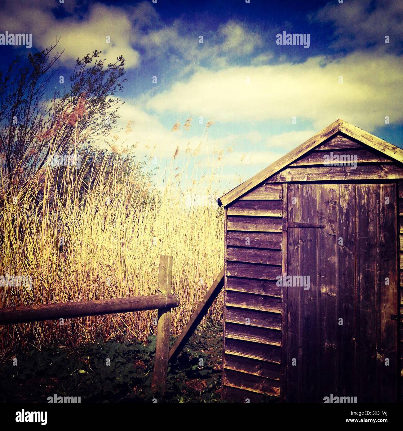 Shed some light Stock Photo - Alamy