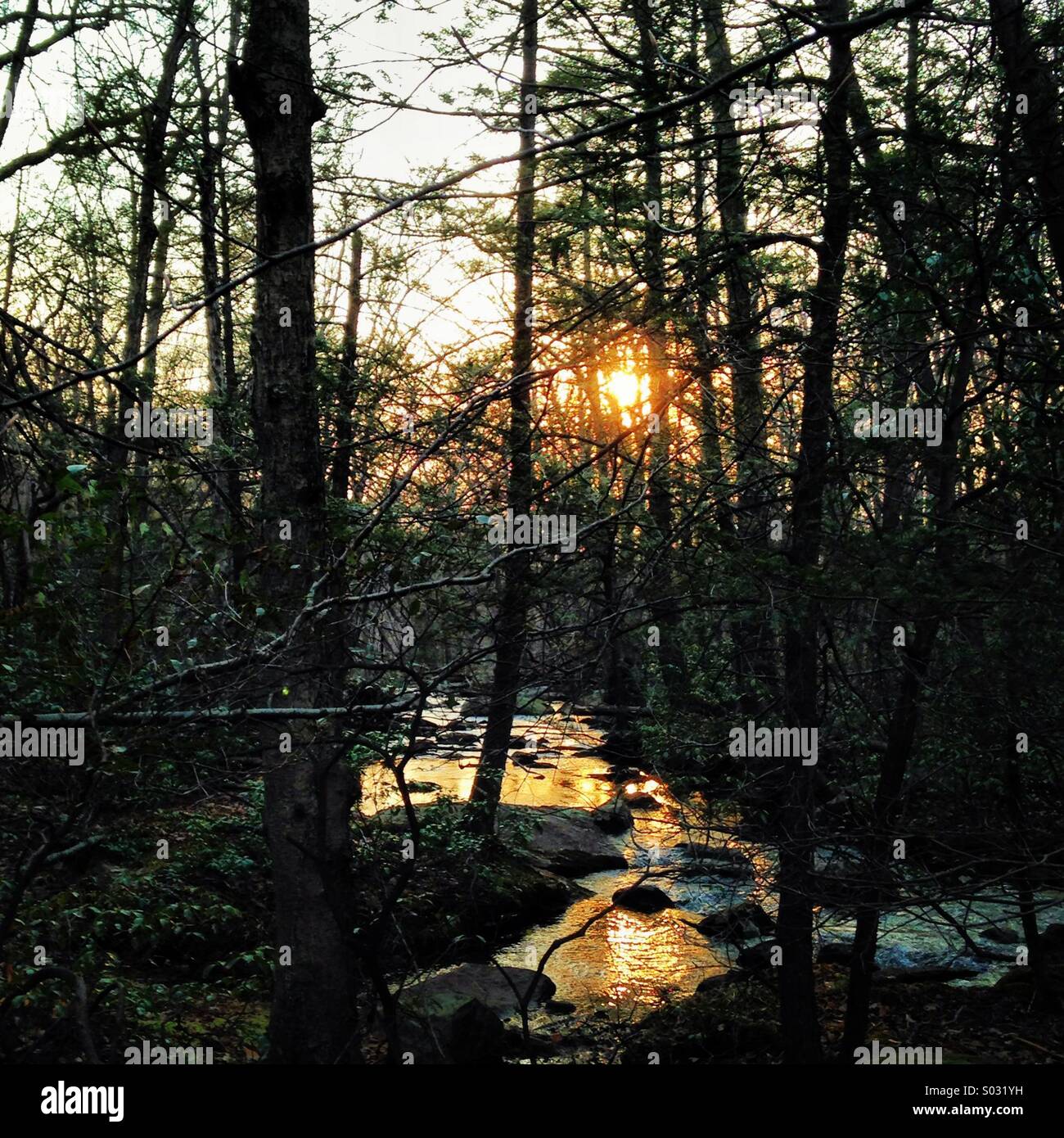 Sunset and wetland hi-res stock photography and images - Alamy