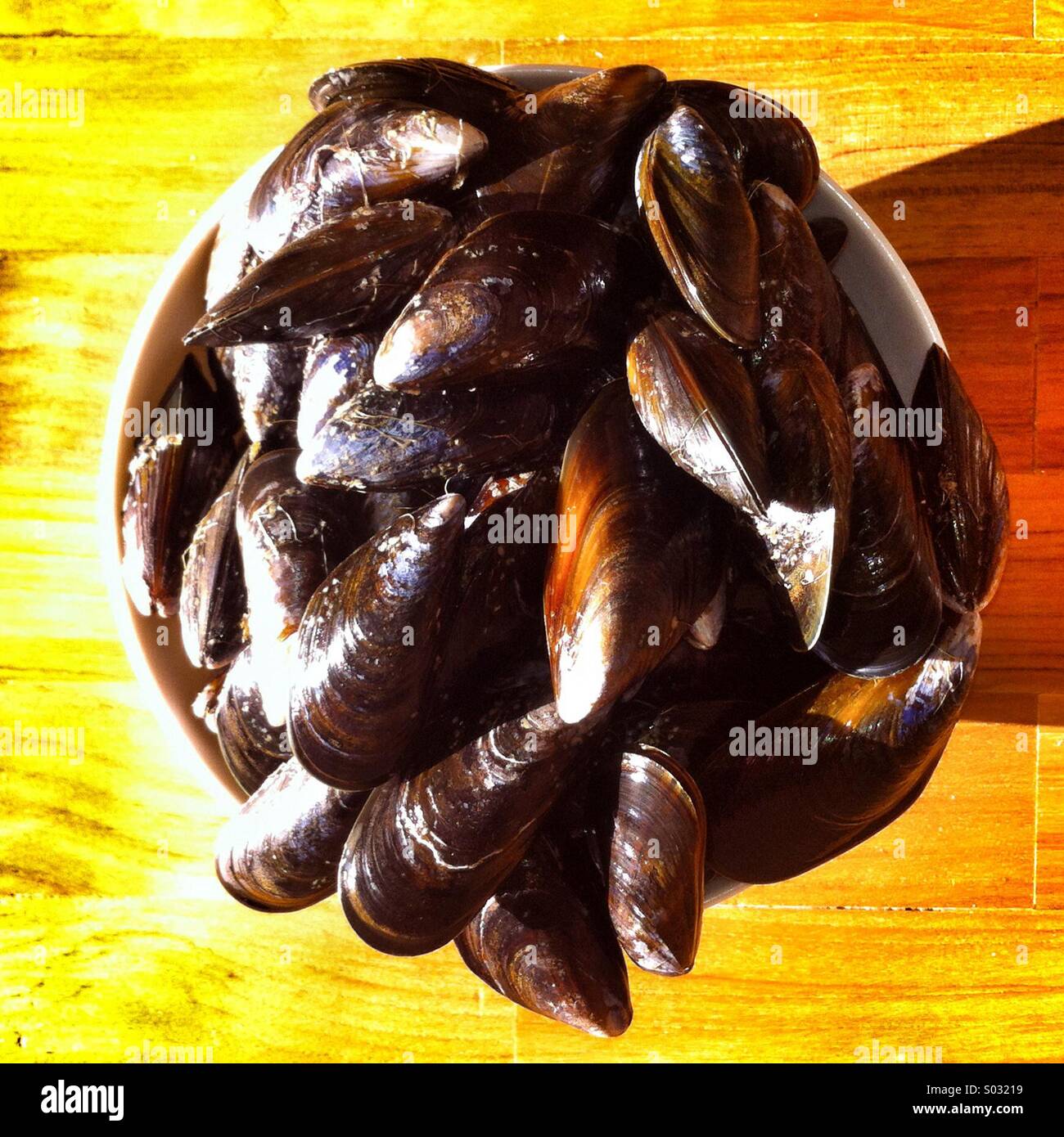 Filtration shellfish hi-res stock photography and images - Alamy