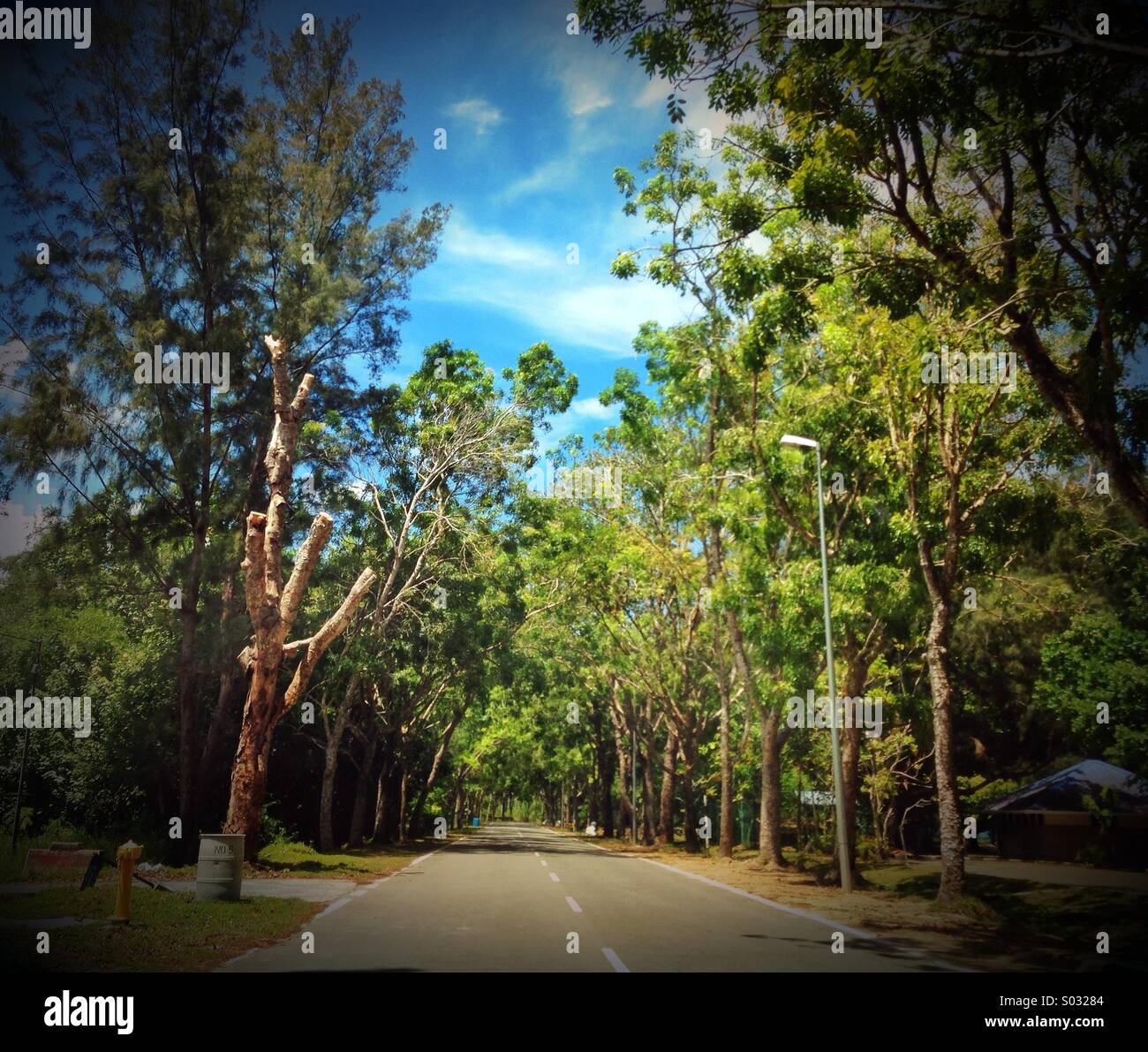 Shrubs highway hi-res stock photography and images - Alamy