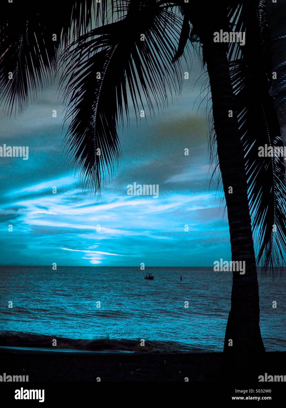Palm beach sunset blue Stock Photo - Alamy