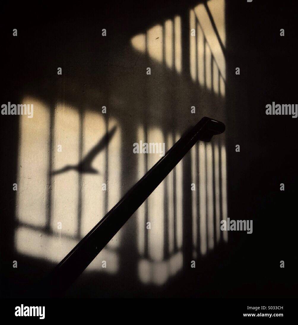 Imprisoned hi-res stock photography and images - Alamy