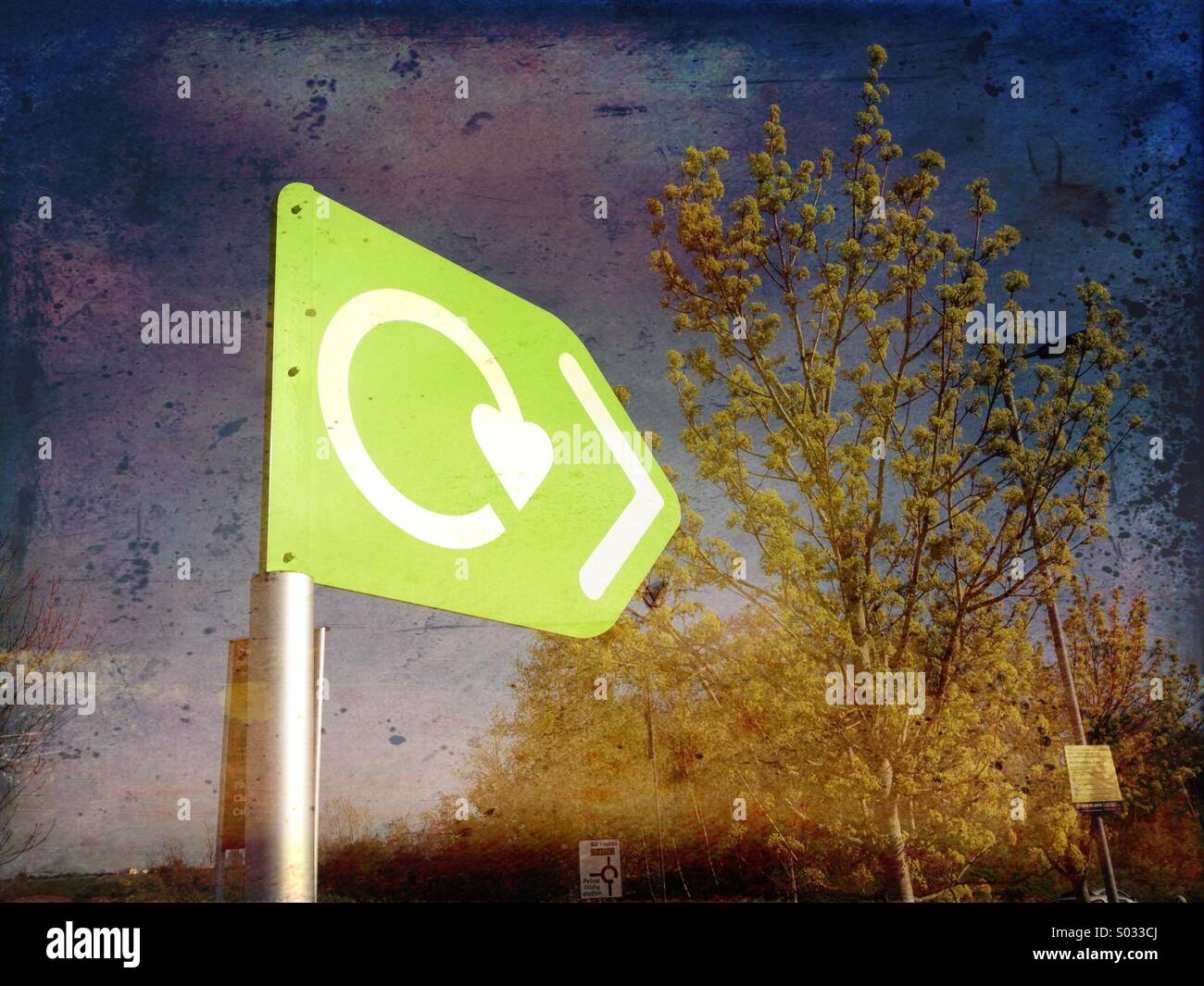 Trees for recycling hi-res stock photography and images - Alamy