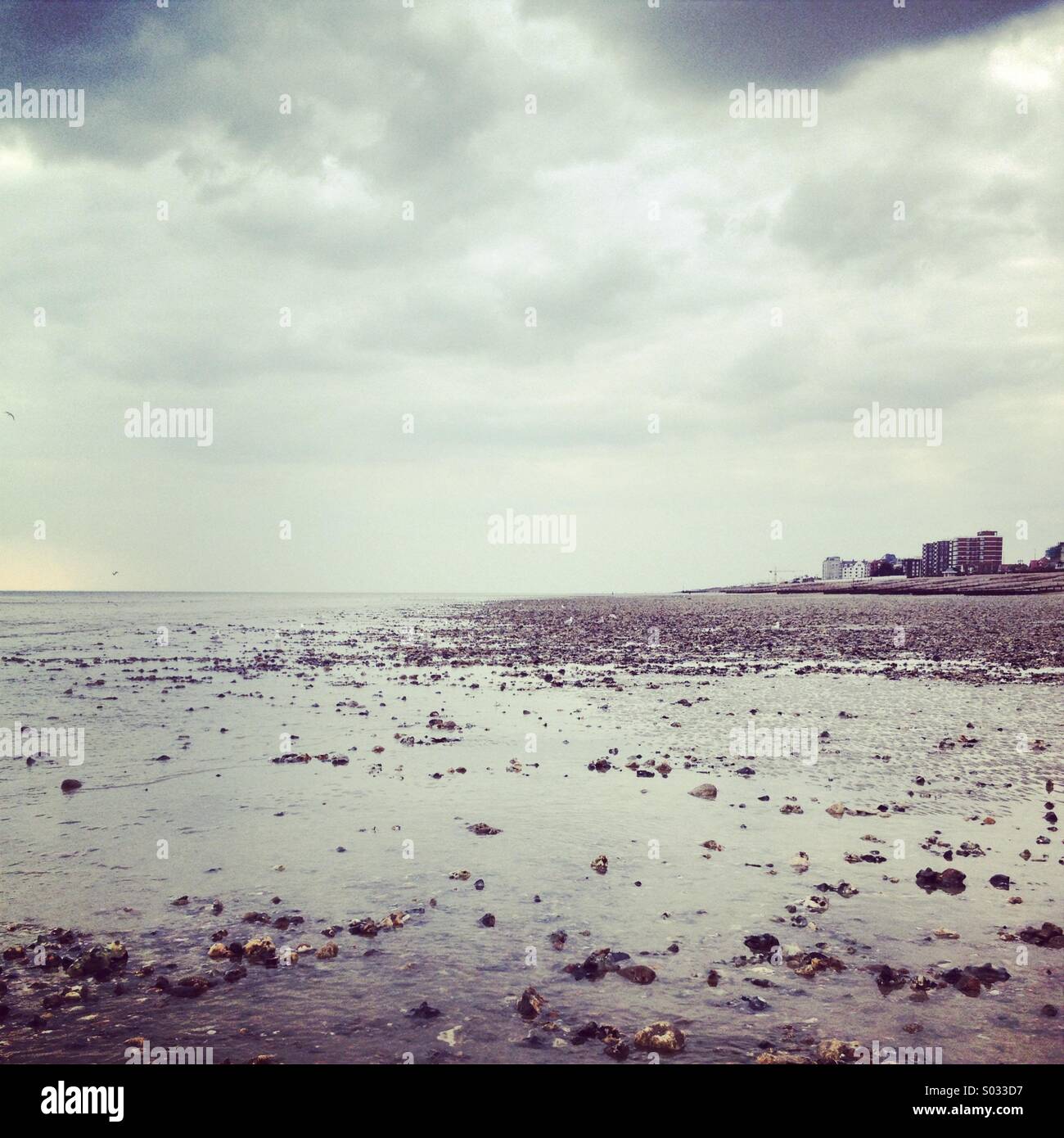 Worthing winter beach Stock Photo - Alamy