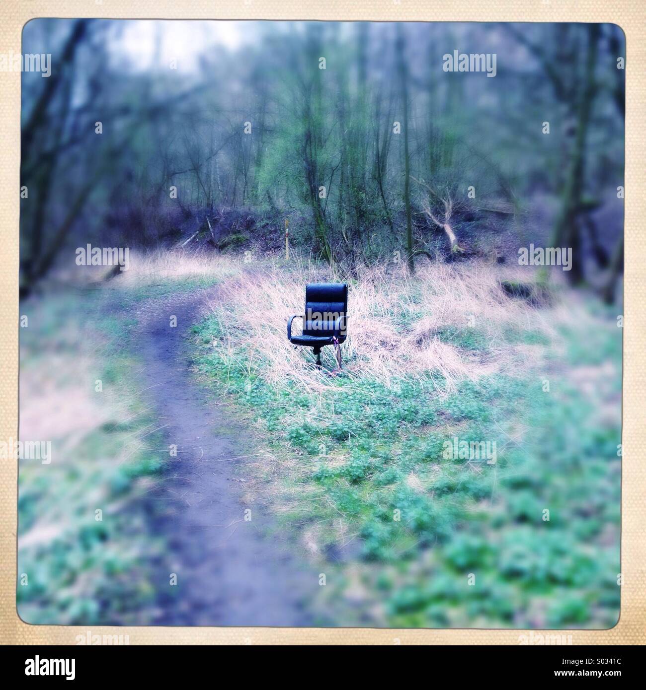 A office chair has been thrown away as garbage in a park in Bochum ...