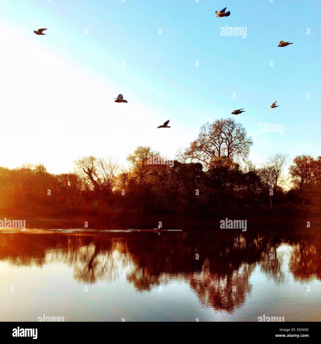 Isleworth hi-res stock photography and images - Alamy