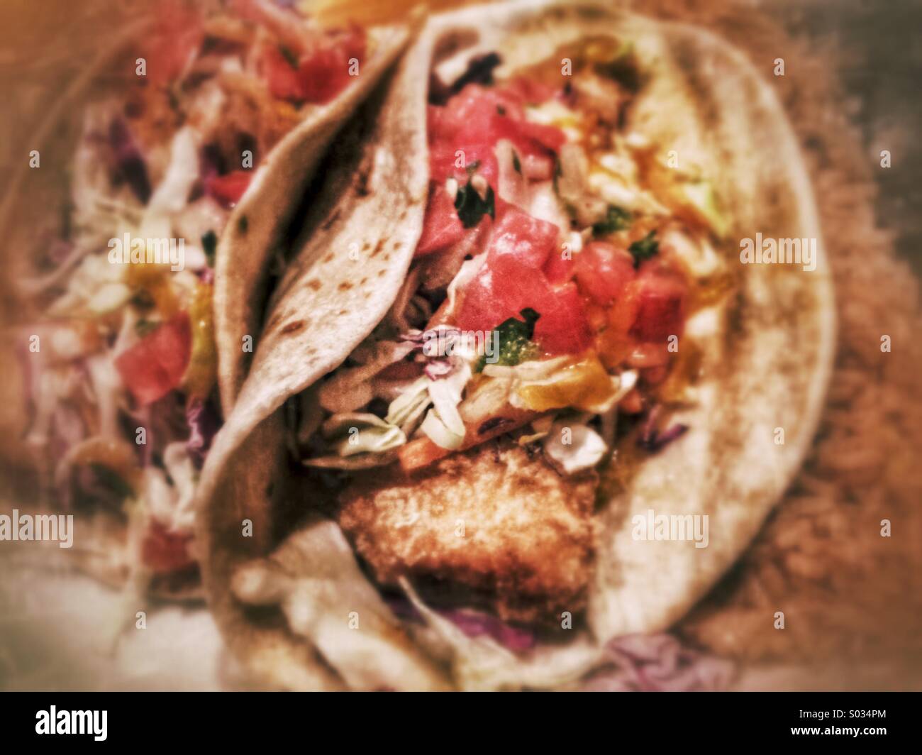 Gallo fish hi-res stock photography and images - Alamy