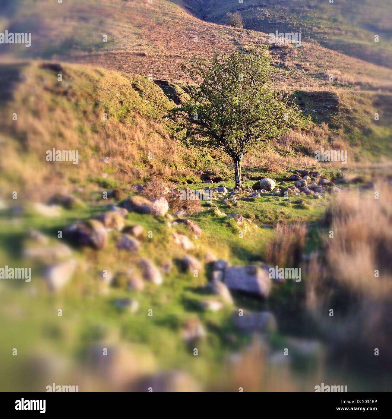 Stream with boulders hi-res stock photography and images - Alamy