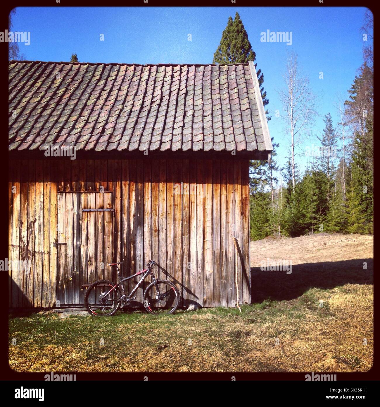 Mountainbike with old wood cabin in the background Stock Photo - Alamy