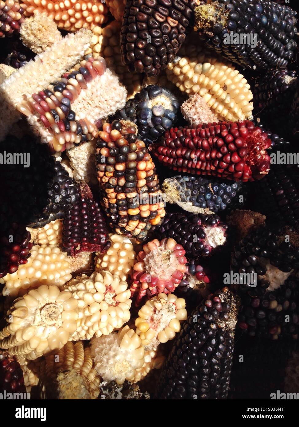 Mexican corn hi-res stock photography and images - Alamy