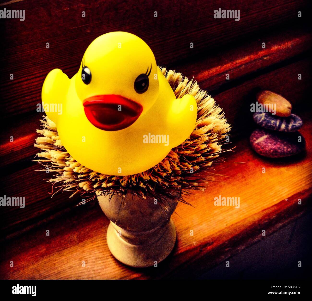 Rubber duck sitting on top of shaving brush on window Stock Photo - Alamy