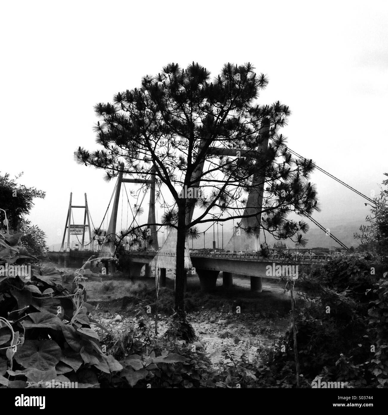 The skyway Black and White Stock Photos & Images - Alamy