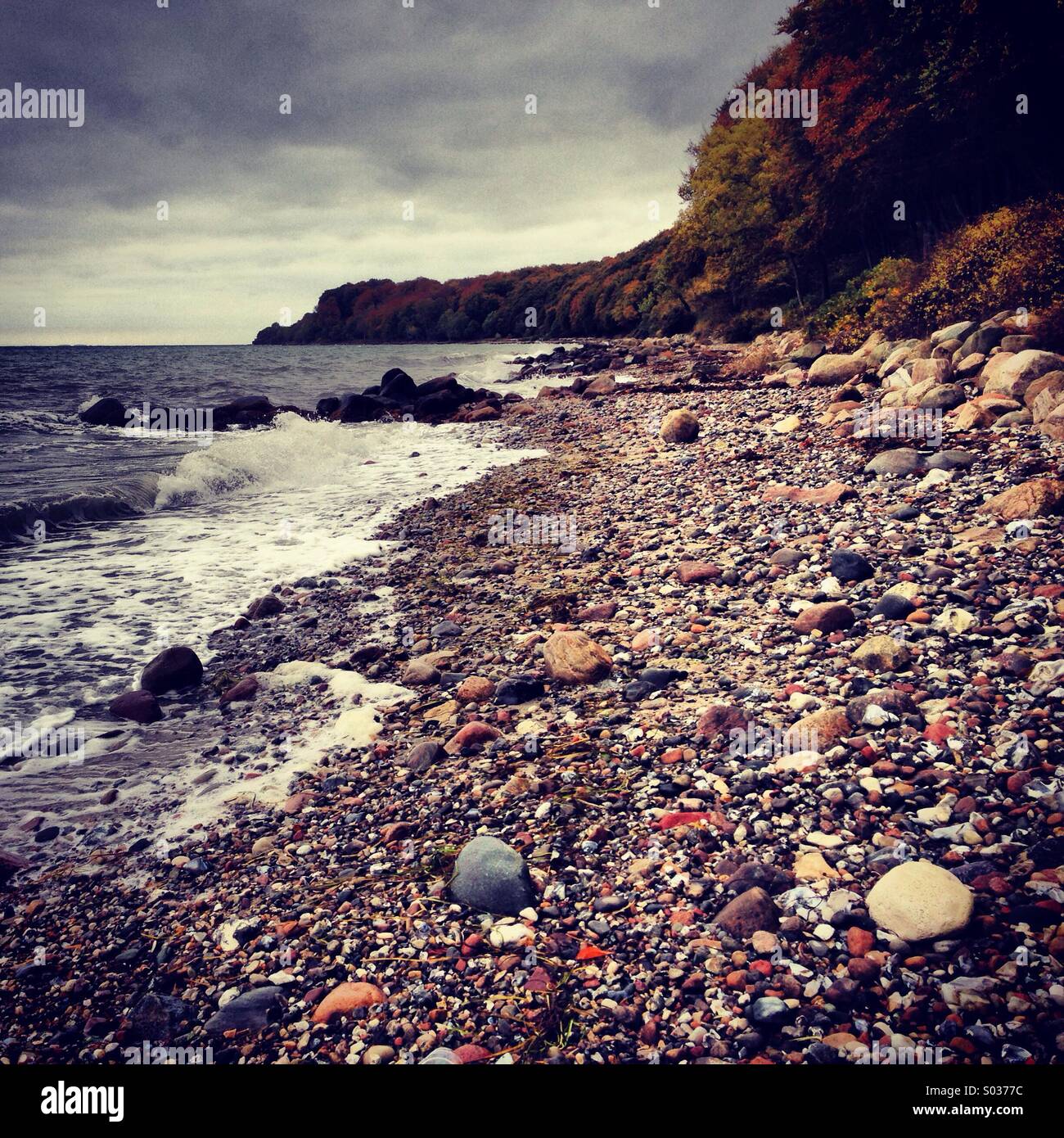 Beach and forest Stock Photo - Alamy