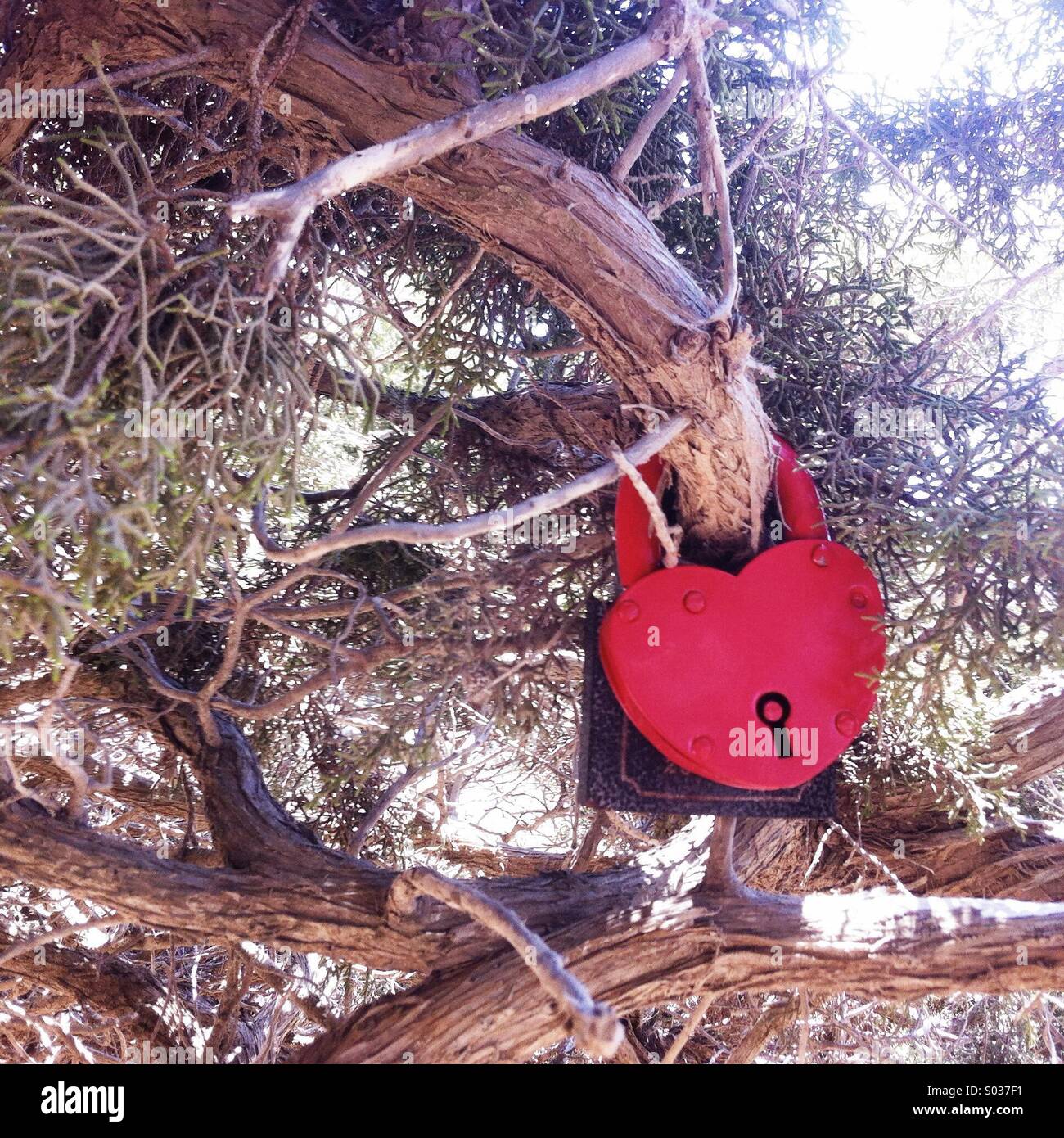 Heart shaped lock Stock Photo - Alamy