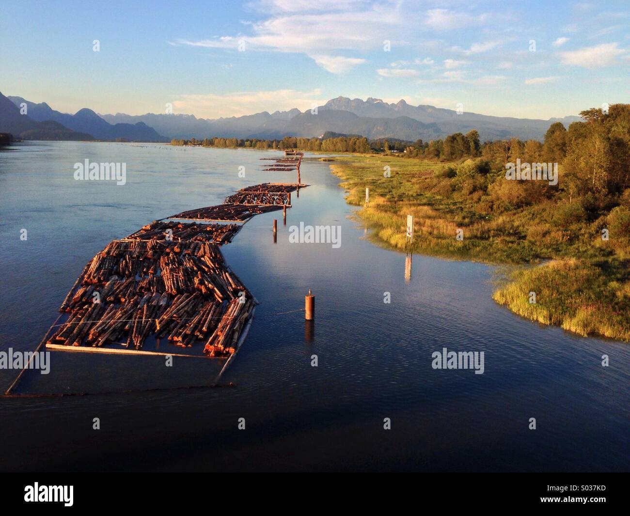 River with logs left from logging Stock Photo - Alamy