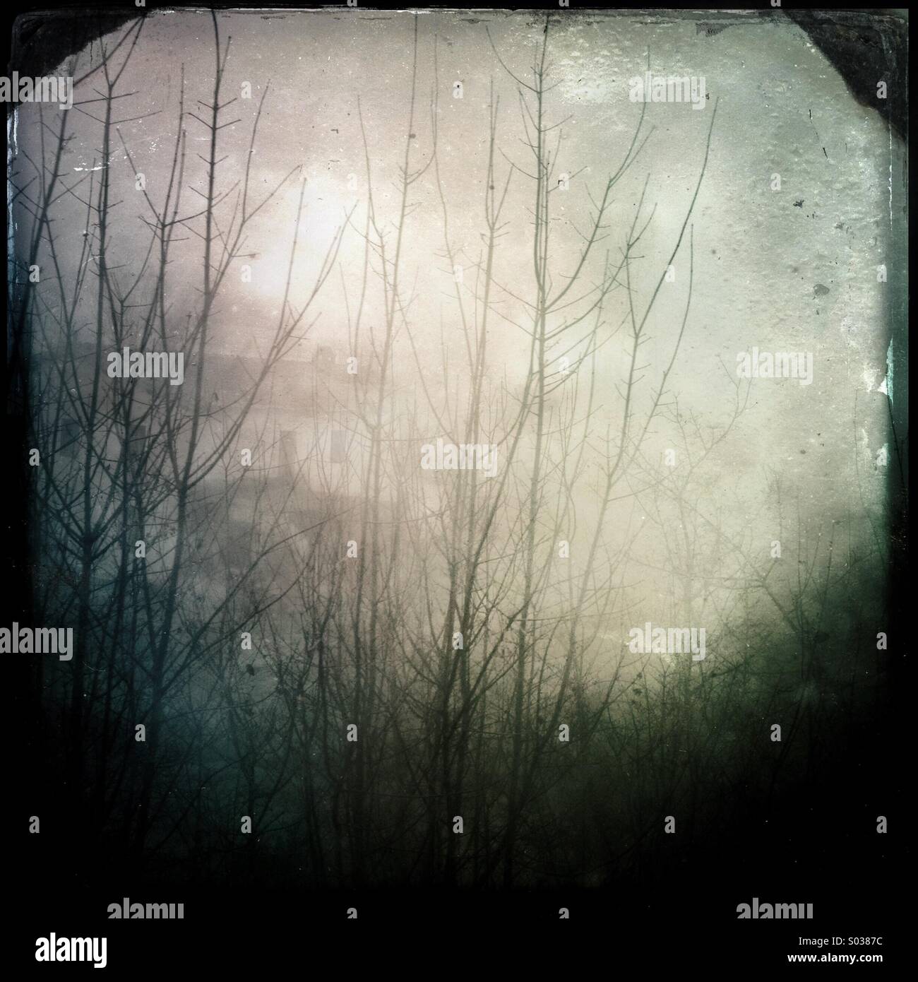 Moving mist hi-res stock photography and images - Alamy