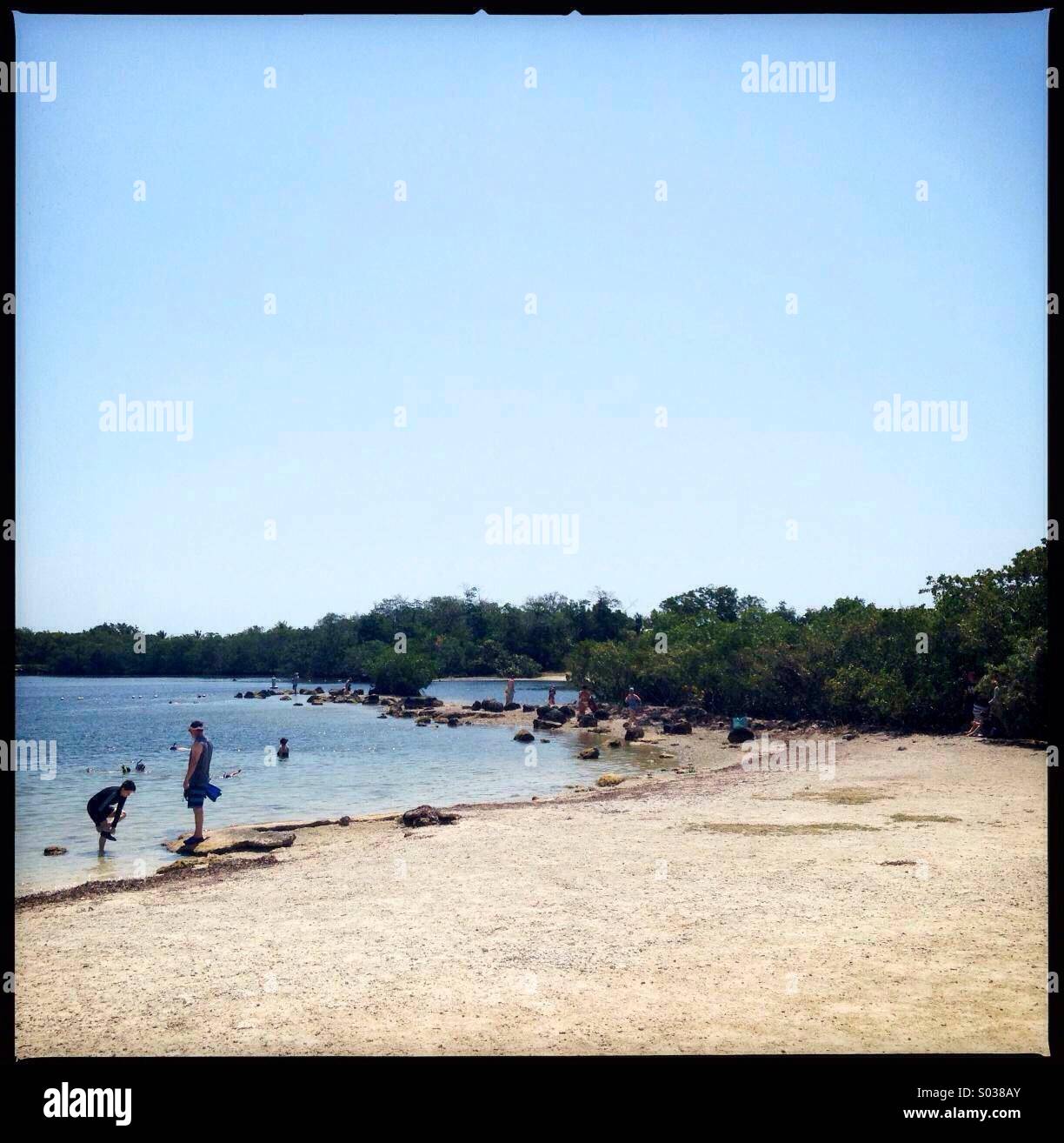 John Pennekamp state park in Florida keys, USA Stock Photo - Alamy