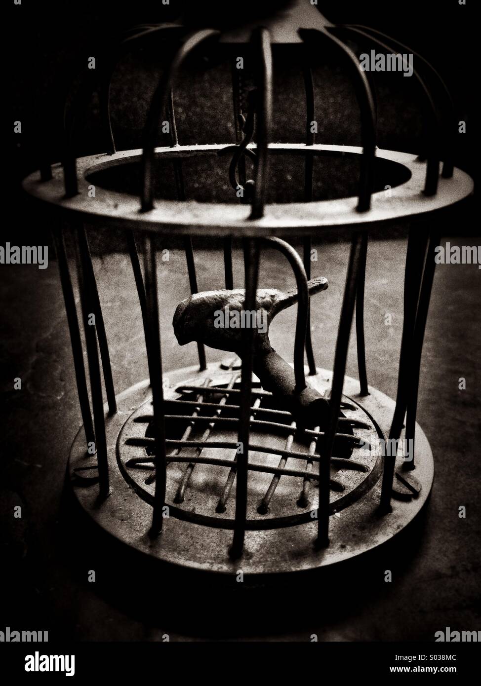 Caged bird hi-res stock photography and images - Alamy