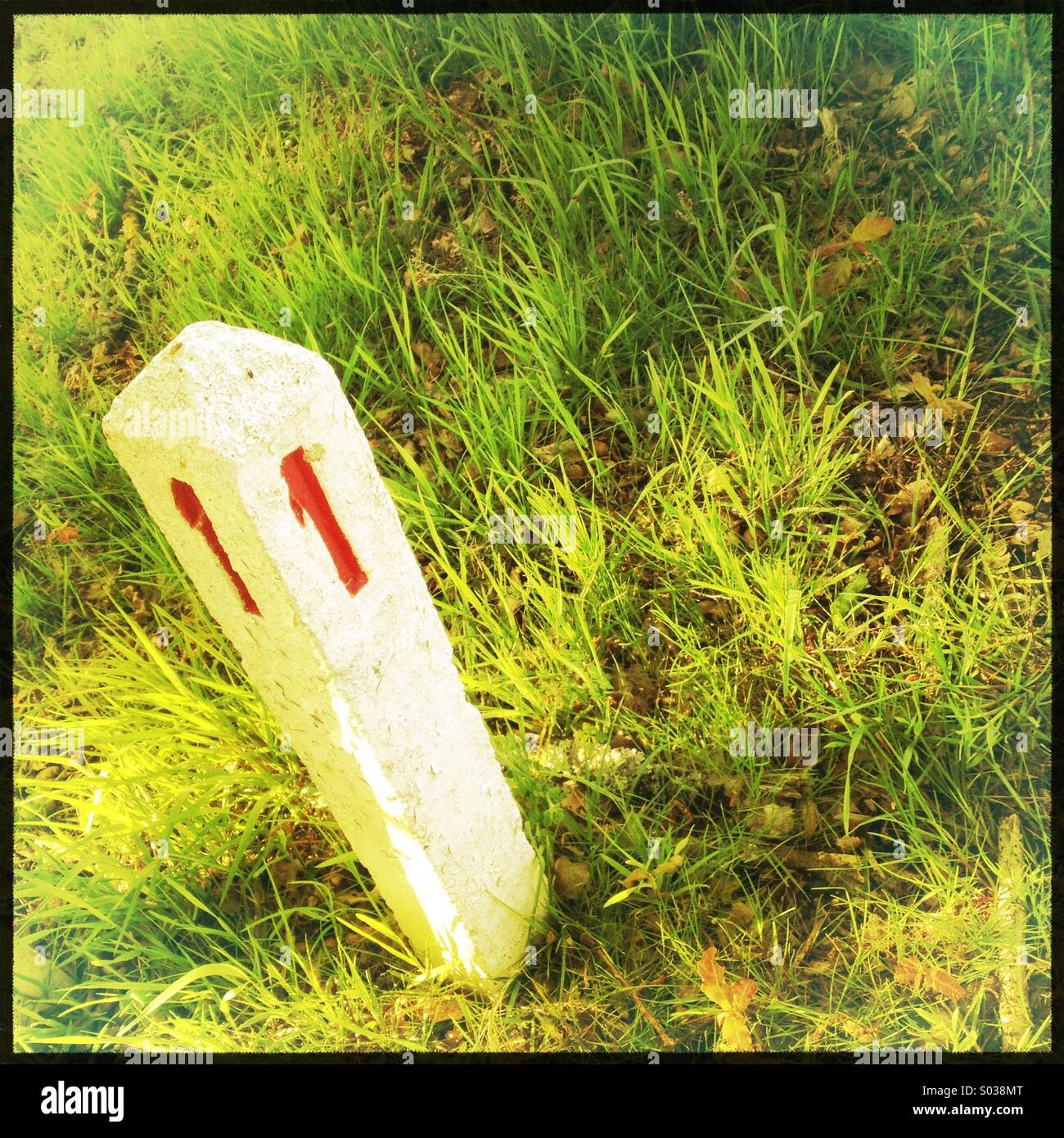 One with the nature hi-res stock photography and images - Alamy