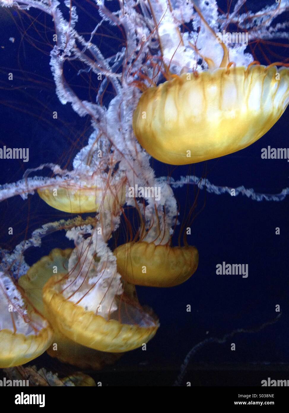 Pretty awesome hi-res stock photography and images - Alamy
