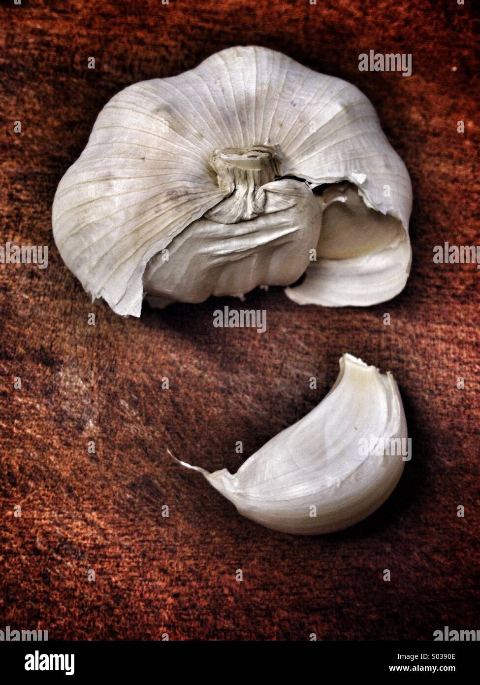 Bulb of garlic on a chopping board with a clove of garlic broken off ...