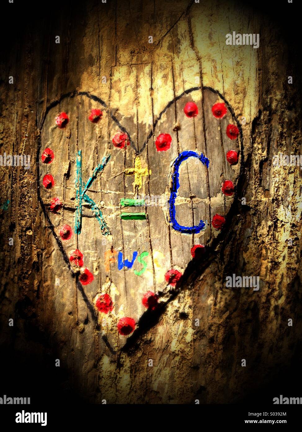 Tree carving heart hi-res stock photography and images - Alamy