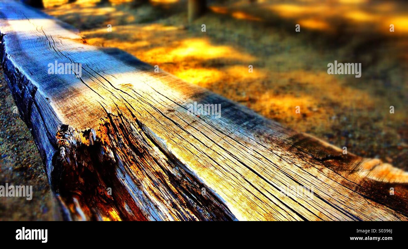 Log bench hi-res stock photography and images - Alamy